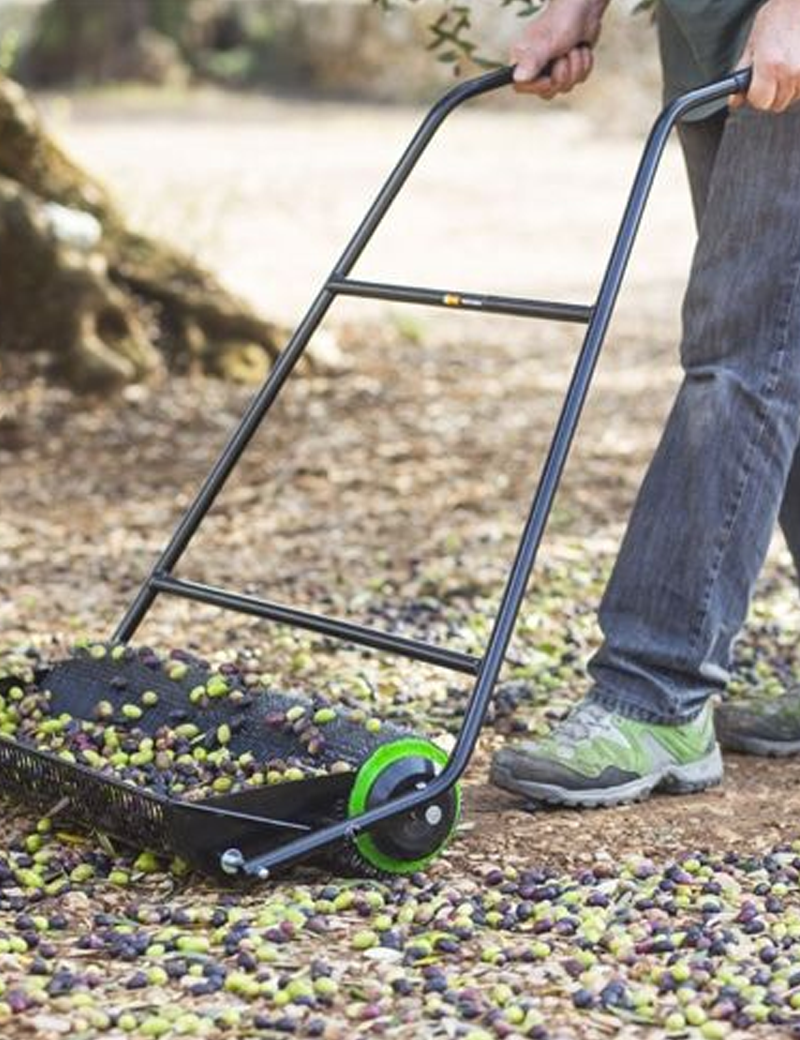 RECOLECTORA Nº2 PERFORADA - I.V.A. Y PORTES INCLUIDOS. - Suministros ...